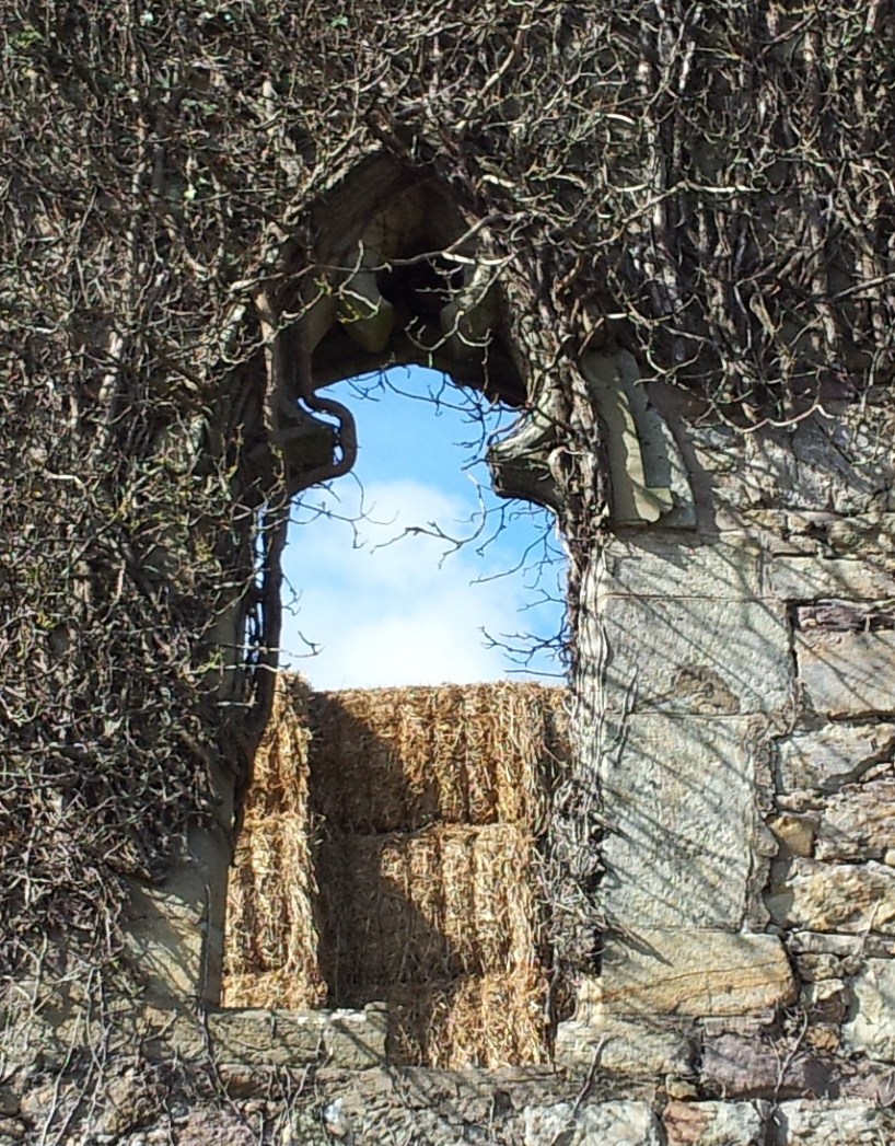 Anchorite cell « Pilgrimage In Medieval Ireland