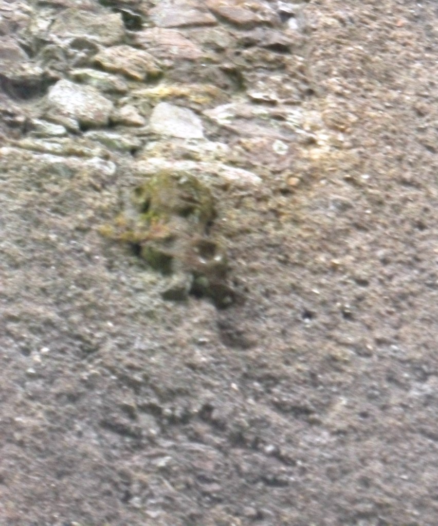 Sheela-na-gig « Pilgrimage In Medieval Ireland