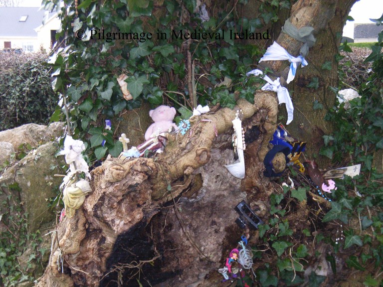 Medieval Pilgrimage at Lemanaghan, Co Offaly « Pilgrimage In Medieval ...