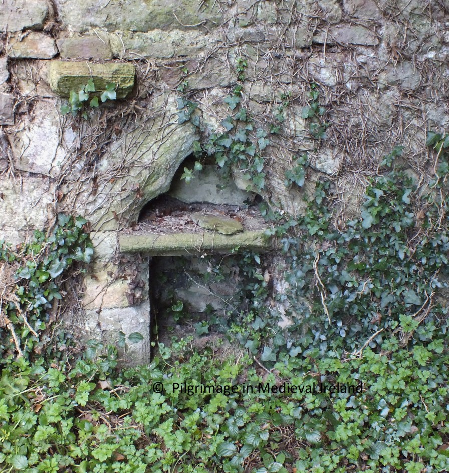 Kilronan medieval church & holy well at Glebe, Co Waterford ...