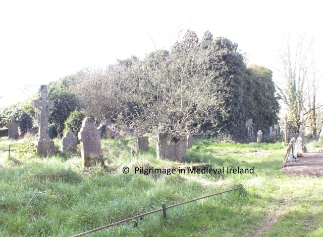 Kilronan medieval church & holy well at Glebe, Co Waterford ...