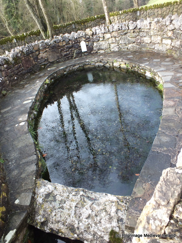 St Patrick’s Holy Well at Marlfield Clonmel « Pilgrimage In Medieval ...
