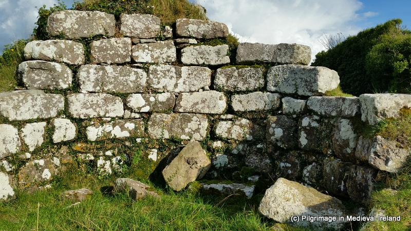 Ardpatrick Co Limerick « Pilgrimage In Medieval Ireland