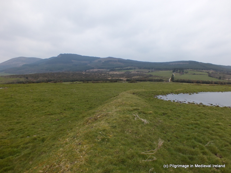 Ardpatrick Co Limerick « Pilgrimage In Medieval Ireland
