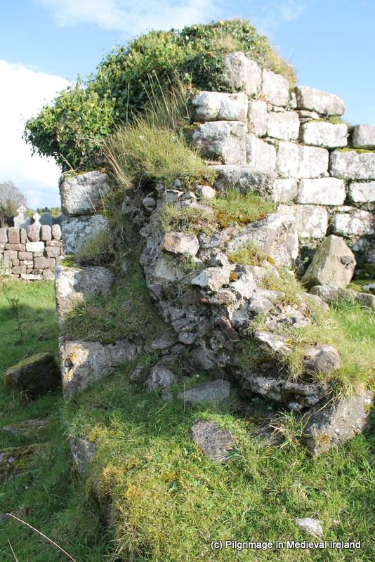 Ardpatrick Co Limerick « Pilgrimage In Medieval Ireland