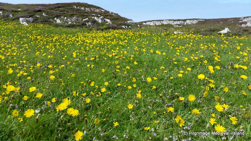 Photo Essay of Pilgrimage to Caher Island Co Mayo « Pilgrimage In ...