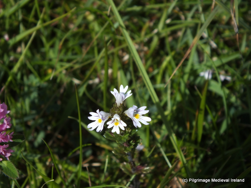 Photo Essay of Pilgrimage to Caher Island Co Mayo « Pilgrimage In ...