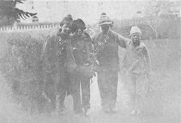 An Irish St Stephen’s Day Tradition: Lá an Dreoilín/Wren Day ...