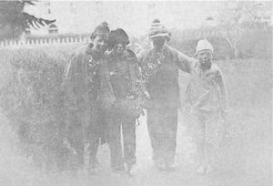 An Irish St Stephen’s Day Tradition: Lá an Dreoilín/Wren Day ...