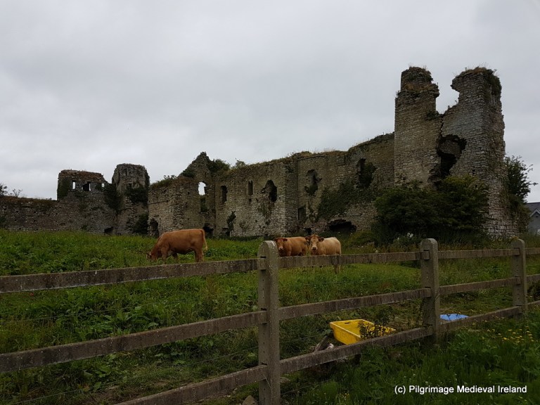 Uncategorized « Pilgrimage In Medieval Ireland « Page 4