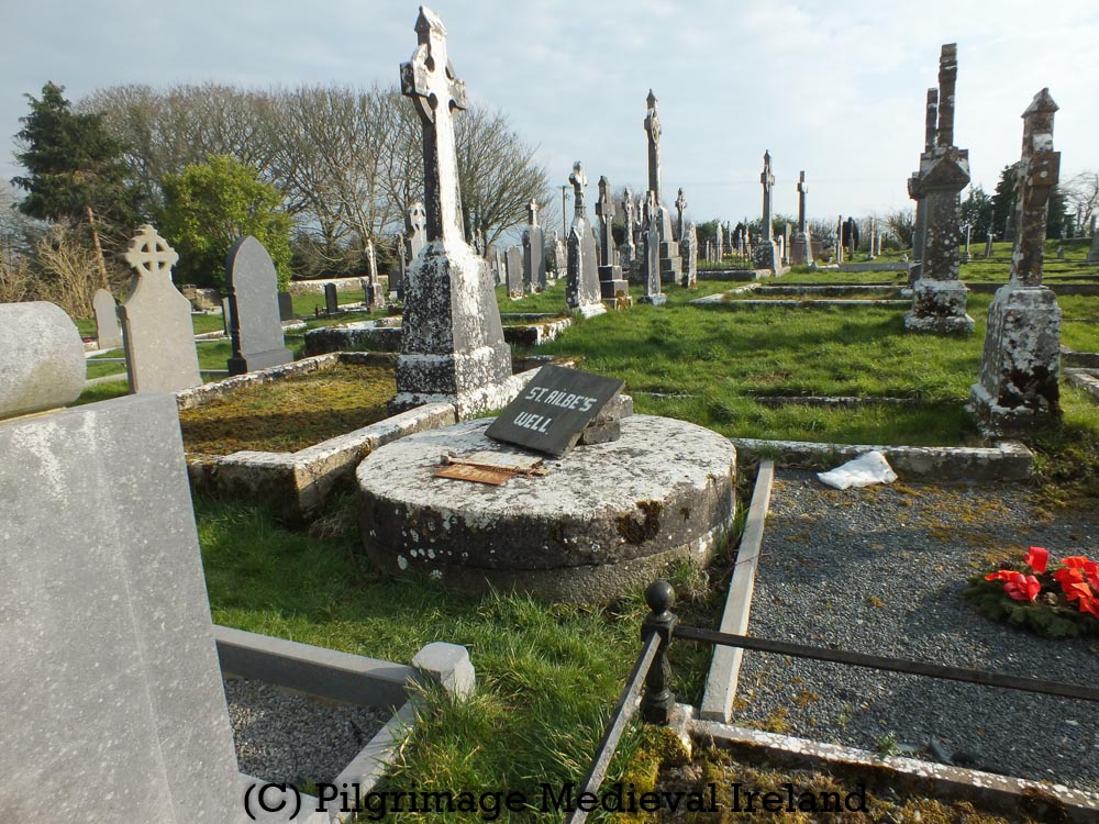 St Ailbe’s Holy Well, Emly Co Tipperary « Pilgrimage In Medieval Ireland