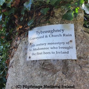 Tybroughney Pillar stone « Pilgrimage In Medieval Ireland