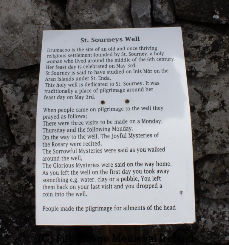 Pilgrimage In Medieval Ireland « pilgrim roads, rituals & destinations